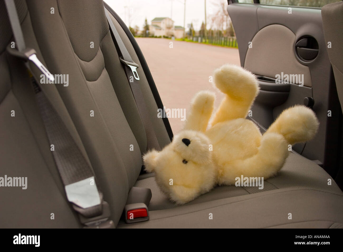 Teddy bear left behind in a car Stock Photo - Alamy