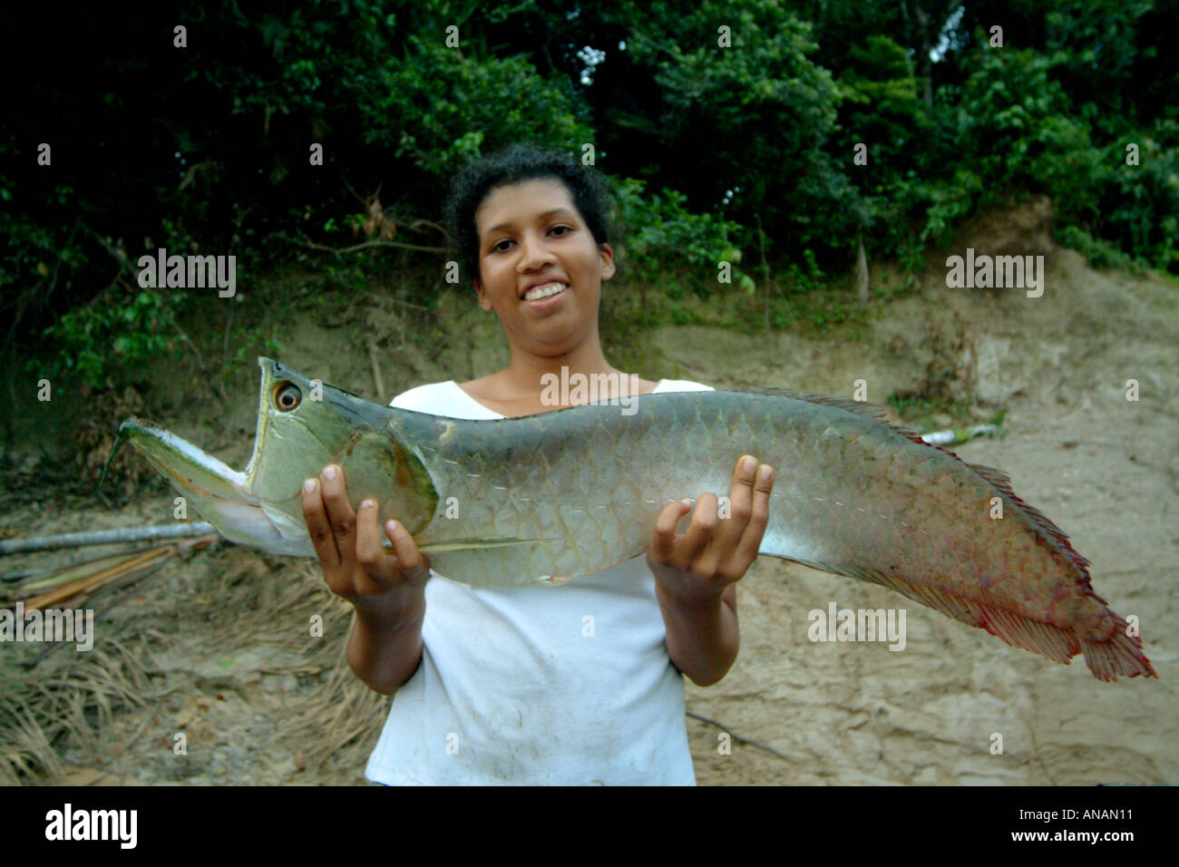 Arowana or Arahuana fish Stock Photo - Alamy