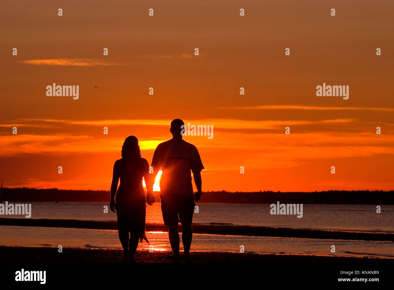 Silhouette Couple Walking On Beach