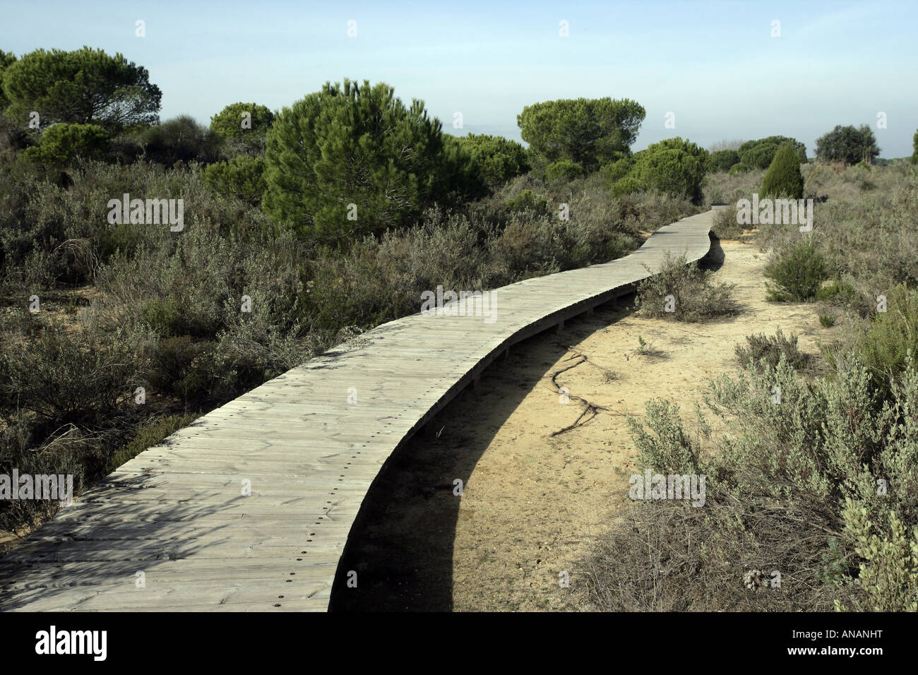 Coto Donana National Park Spain Acebuche visitor centre Laguna de Los ...