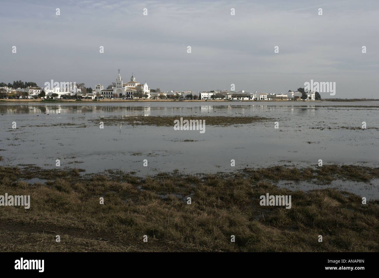El Rocio Birdwatching lagoon town in background Coto Donana National ...
