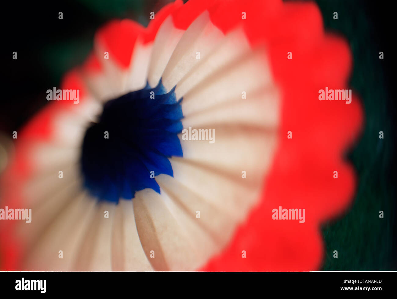 Cockade Of France High Resolution Stock Photography and Images - Alamy