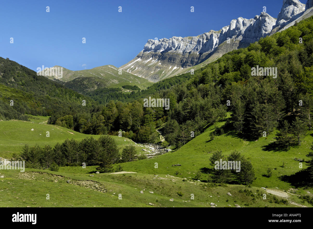 landscape in the Hecho-Valley, Spain, Pyrenaeen, Hecho-Tal Stock Photo ...