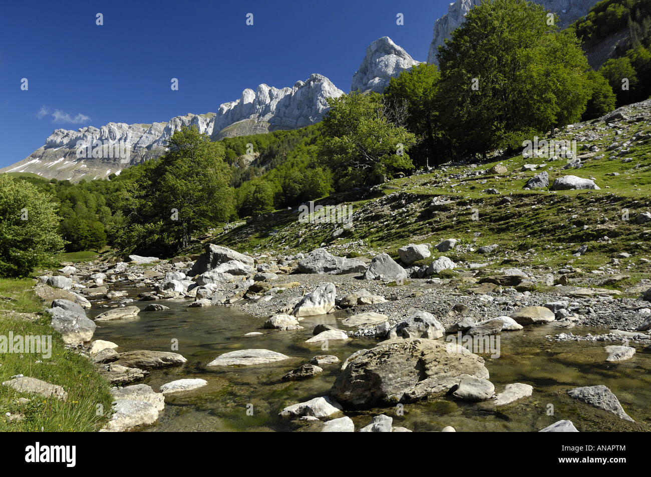 landscape in the Hecho-Valley, Spain, Pyrenaeen, Hecho-Tal Stock Photo ...