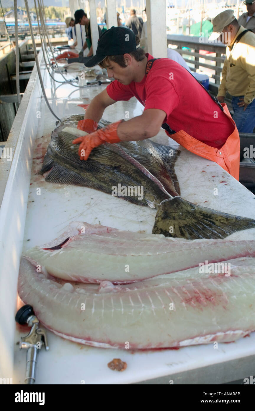 Angling wildlife hi-res stock photography and images - Alamy