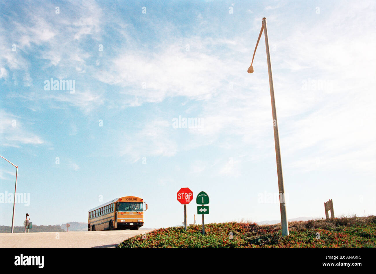 Bus Stop Style Sign High Resolution Stock Photography and Images - Alamy