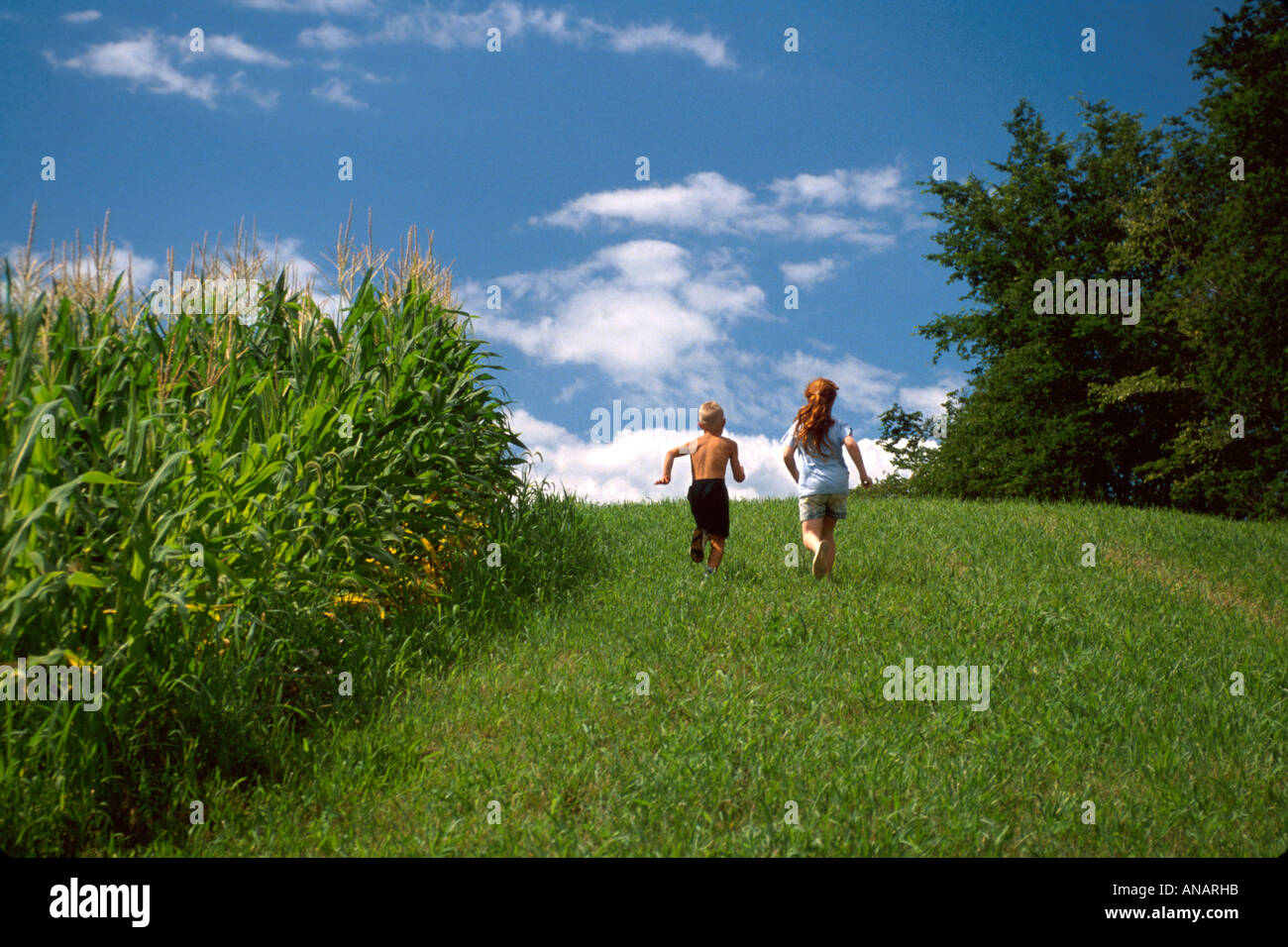 Iowa,IA Hawkeye State,Scott County,Le Clair,boy boys male girl,girls ...