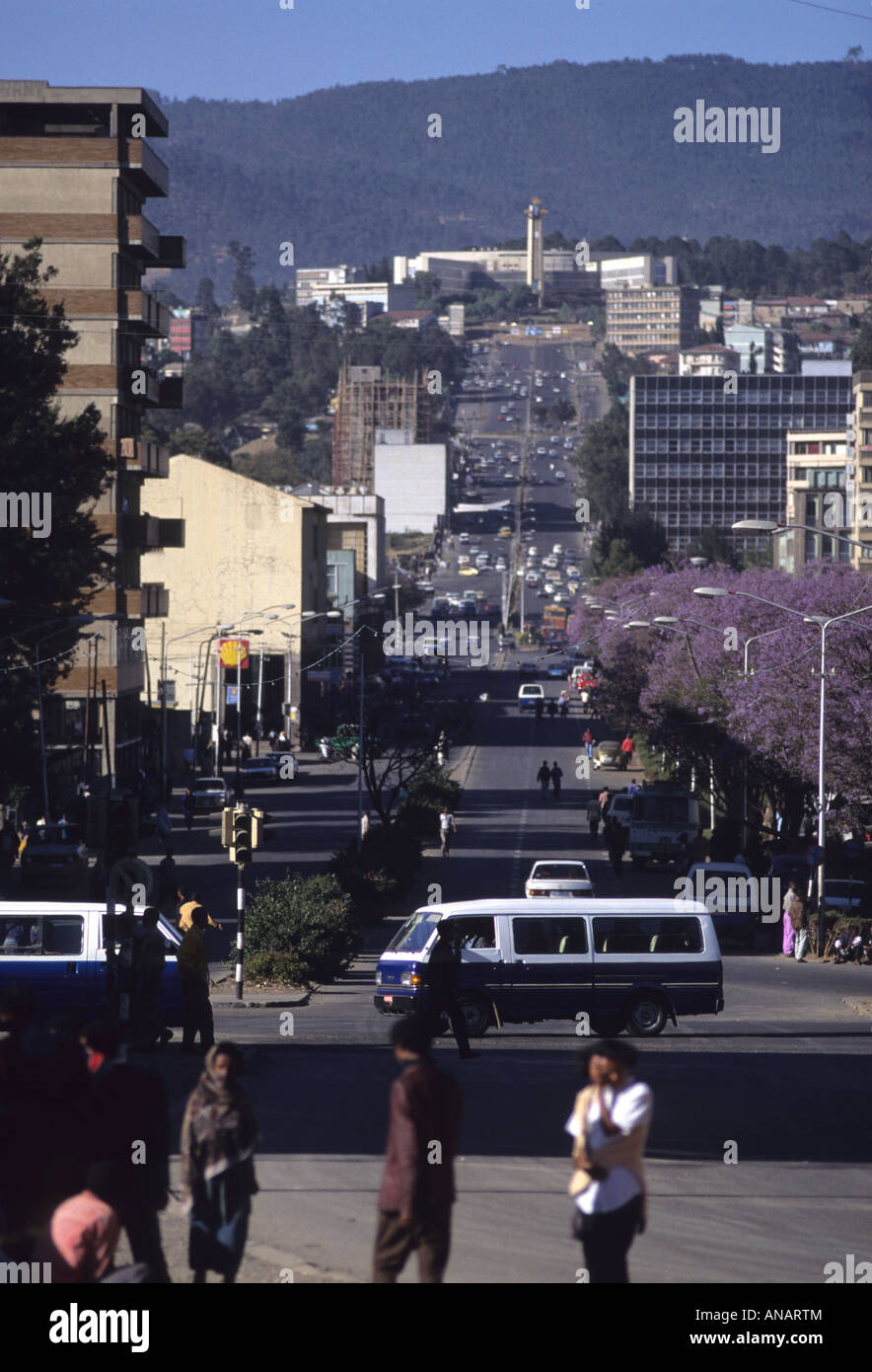 Jacaranda trees lining an avenue in Addis Ababa Ethiopia Stock Photo ...