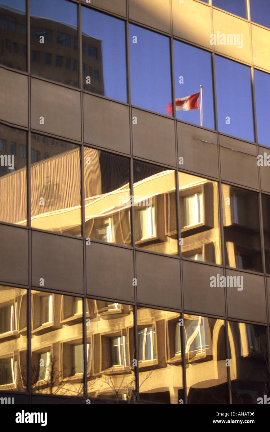 Reflection of Canadian flag in glass windows of building Stock Photo ...