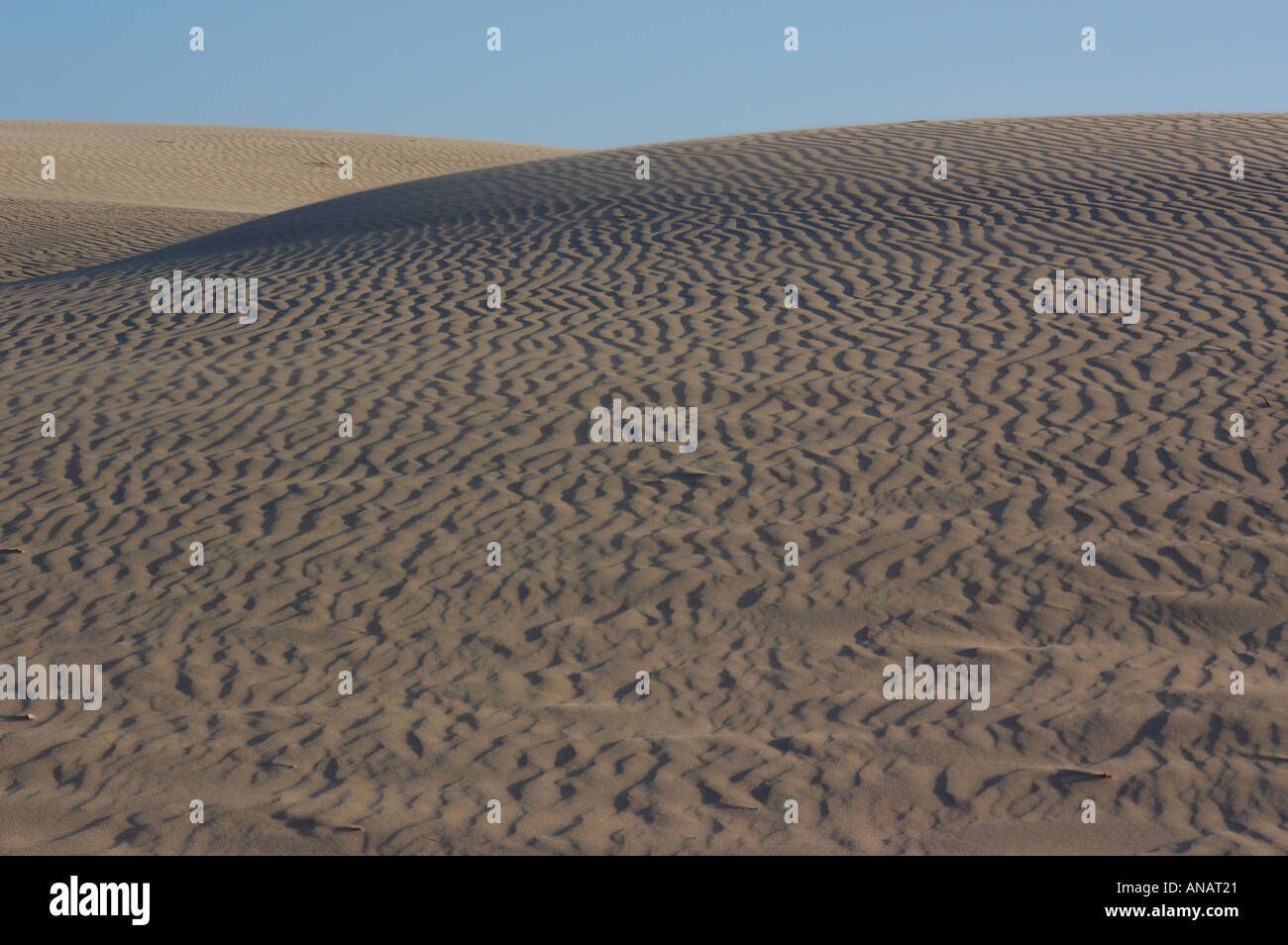 Oceano Sand Dunes Stock Photo - Alamy
