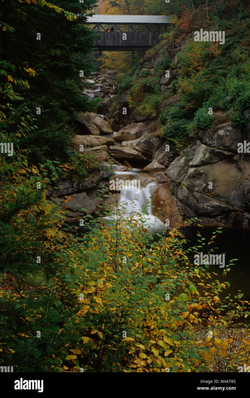 Sentinel Pine Bridge at The Flume New Hampshire Stock Photo - Alamy