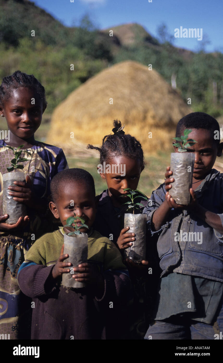 Children holding young tree seedlings ready for planting The highlands ...