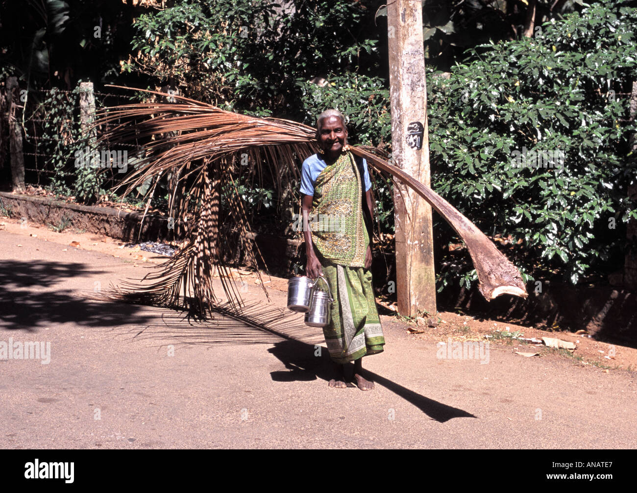 Carrying palm leaves hi-res stock photography and images - Alamy