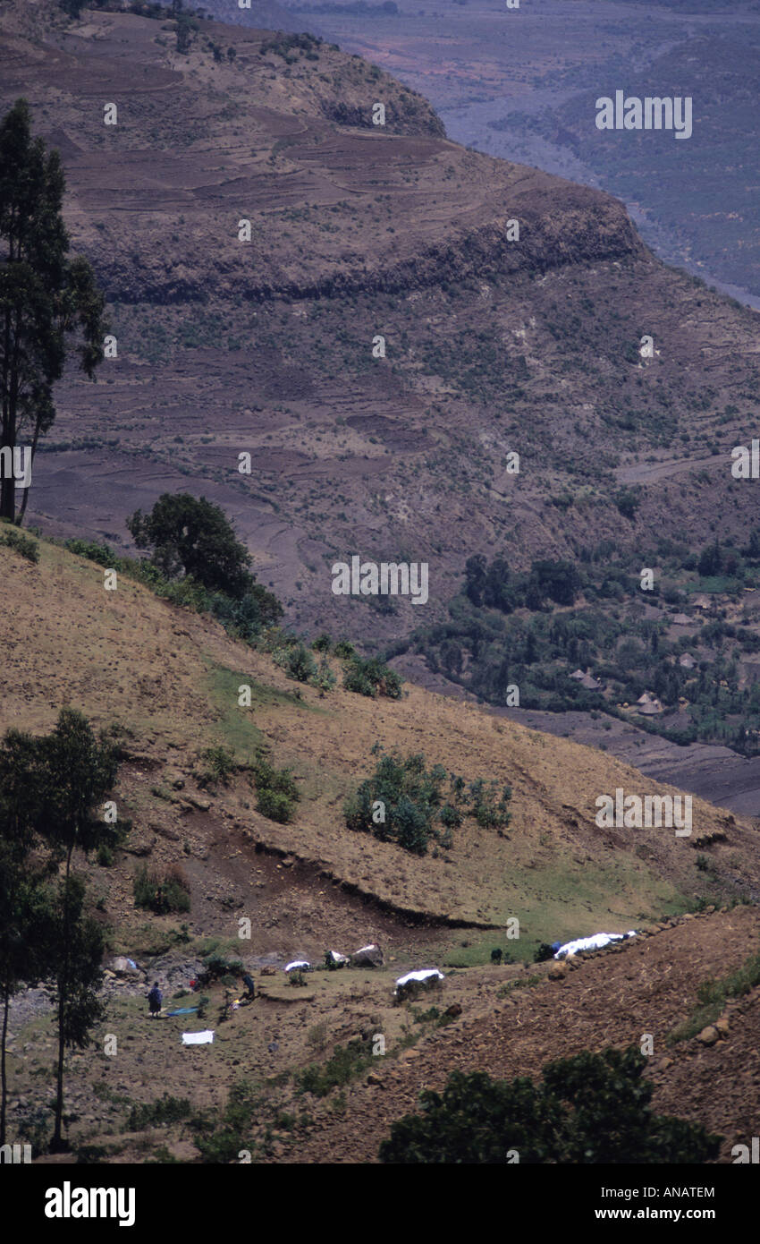 Terraced farmland in the highlands of rural Ethiopia Stock Photo - Alamy