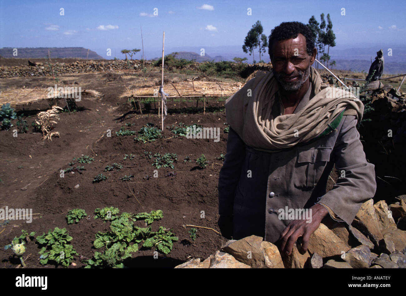 Family farm plot The highlands of rural Ethiopia Stock Photo - Alamy
