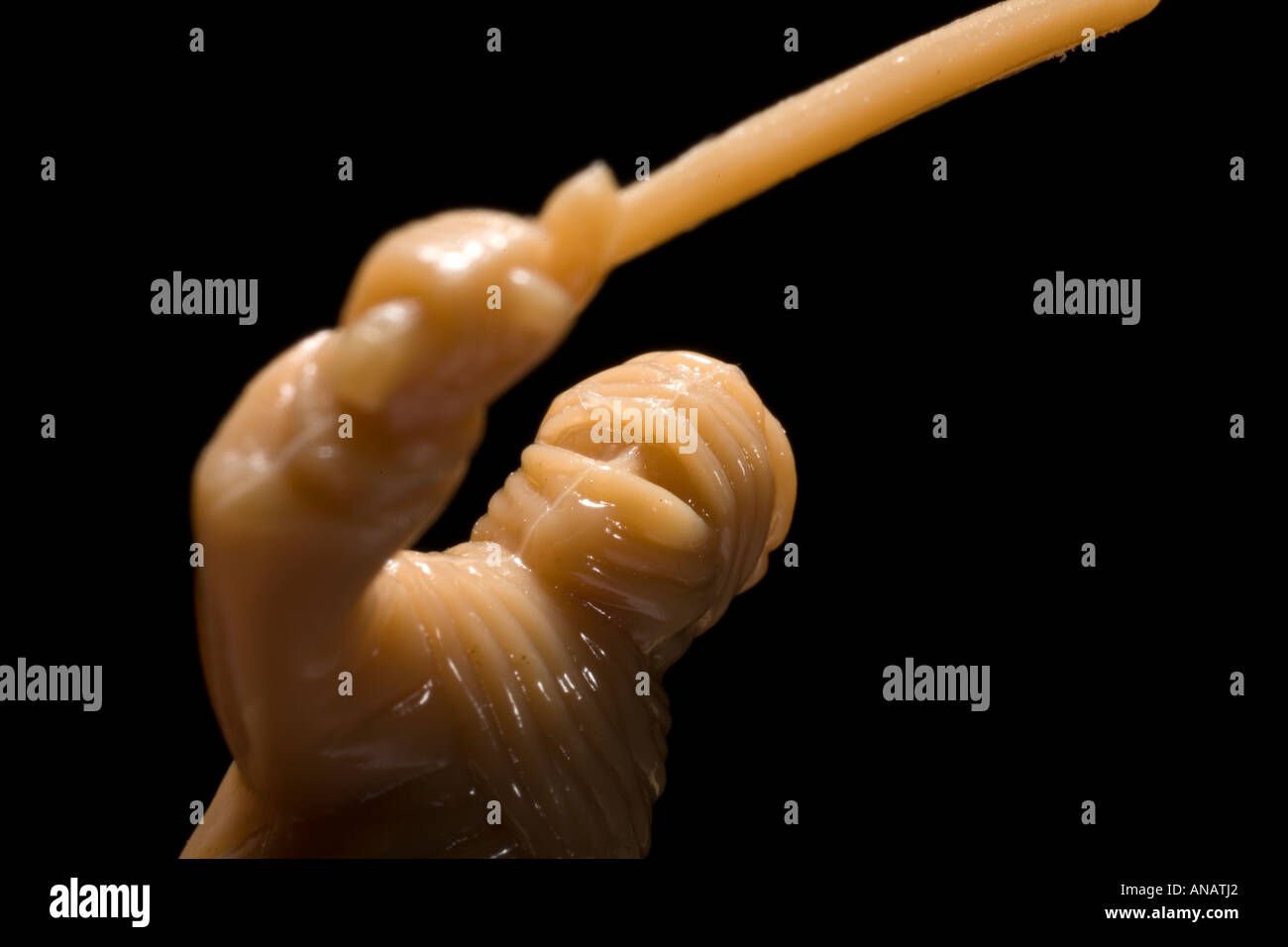 Iran child soldier hi-res stock photography and images - Alamy