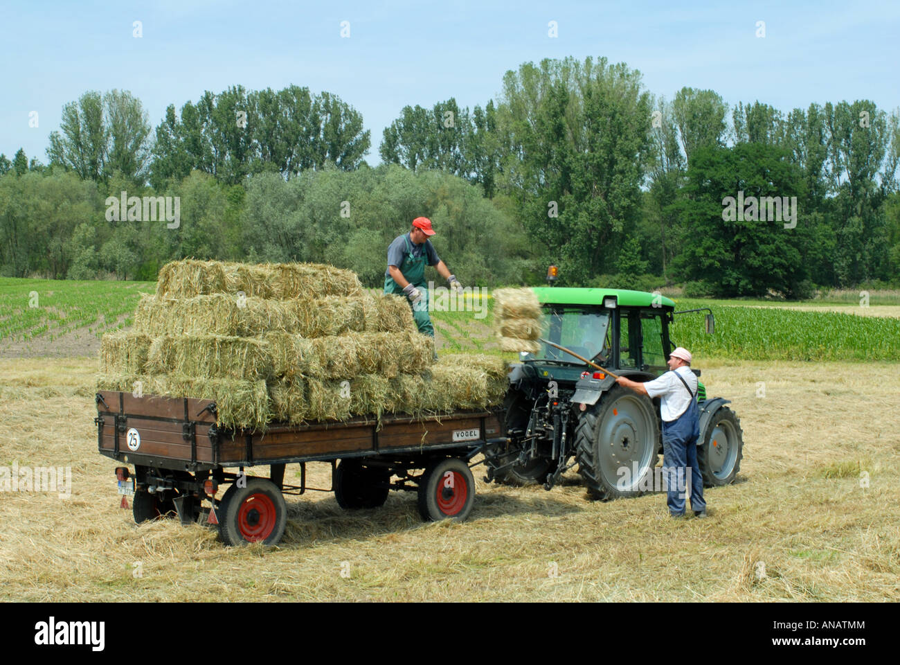 Rhineland farmer hi-res stock photography and images - Alamy