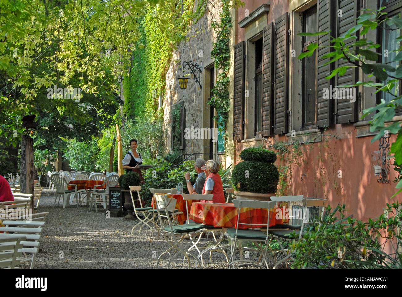winery in Deidesheim, Germany, Rhineland-Palatinate, Deutsche ...