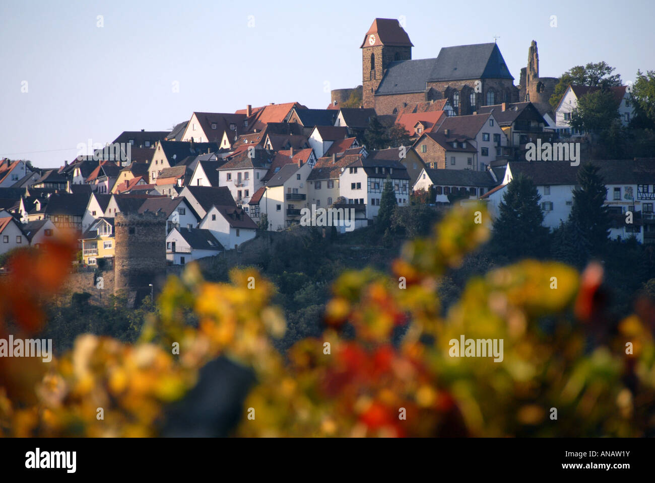 Neuleiningen, Germany, Rhineland-Palatinate Stock Photo - Alamy