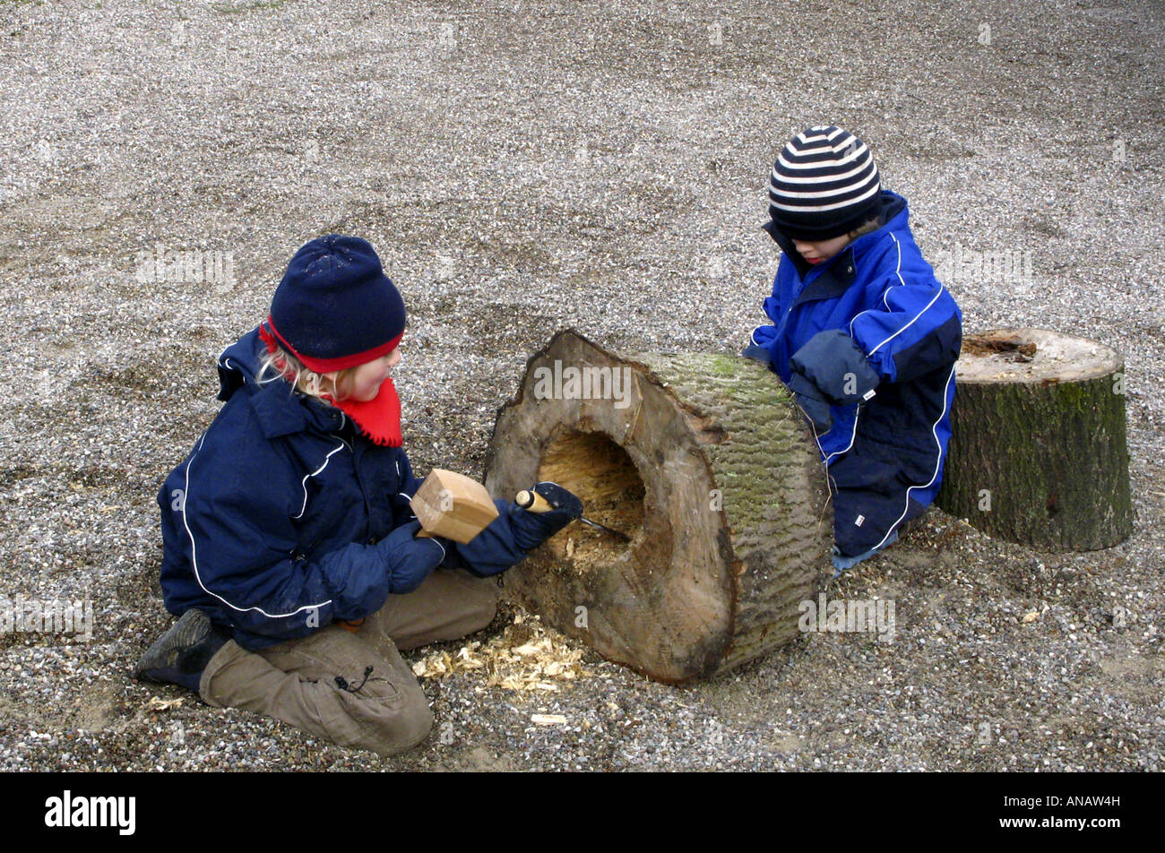 children carving a cave into a trunk to build a breeding cave Stock ...