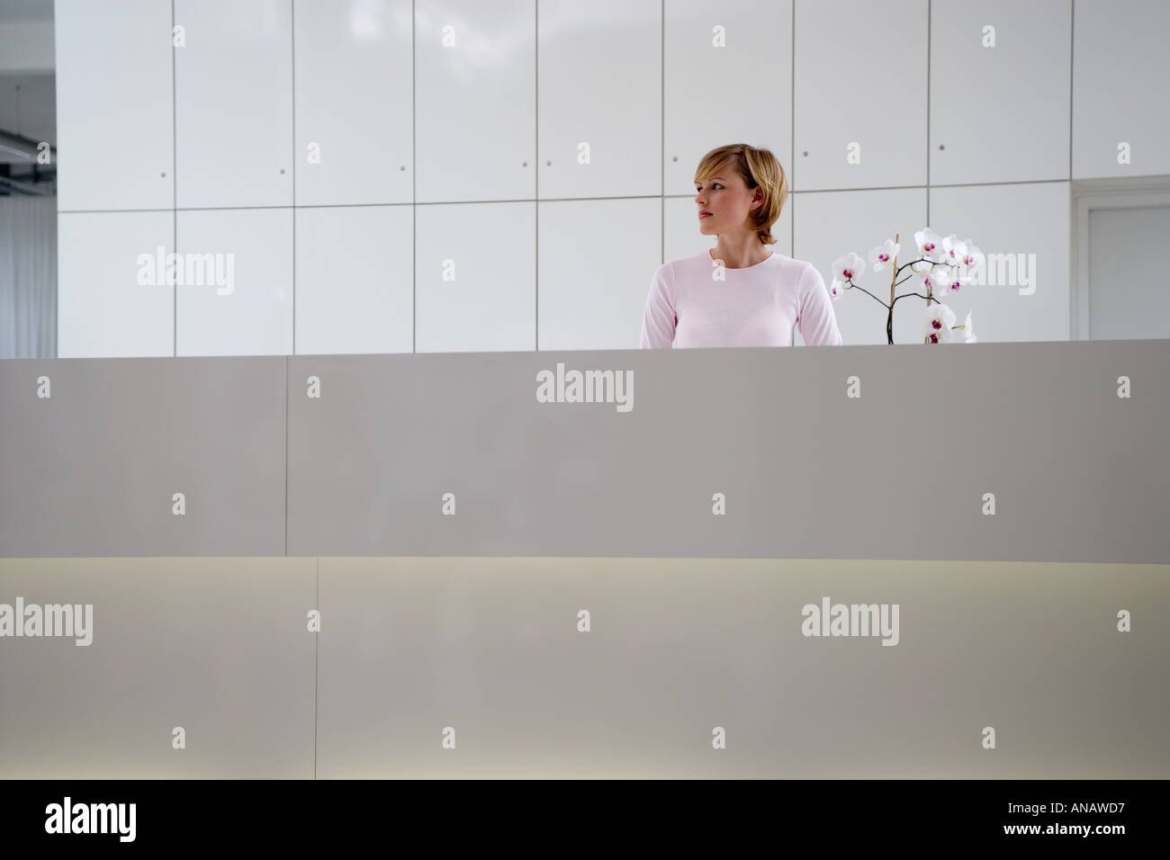 young receptionist standing behind desk Stock Photo - Alamy