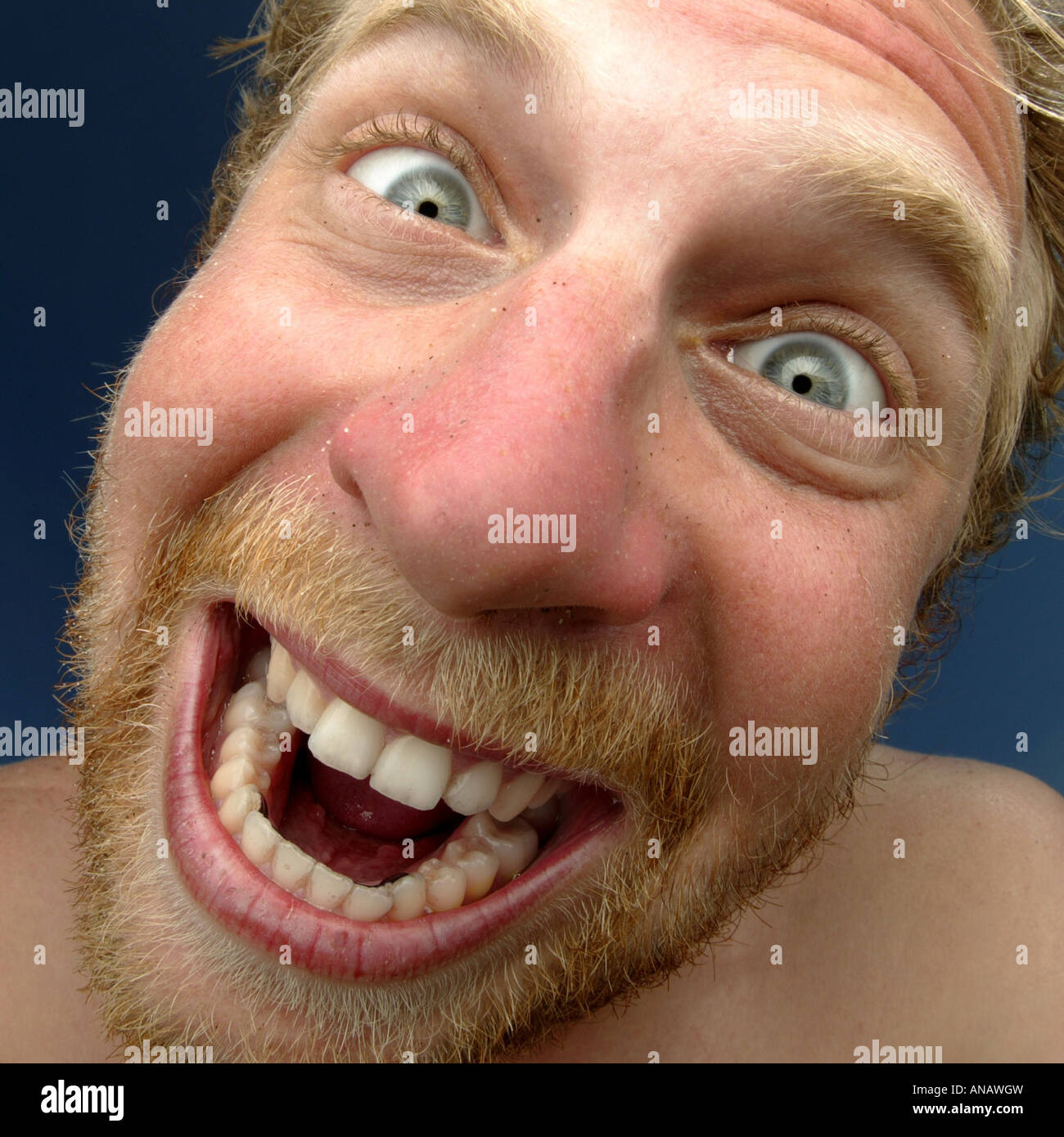 Crazy expressions hi-res stock photography and images - Alamy