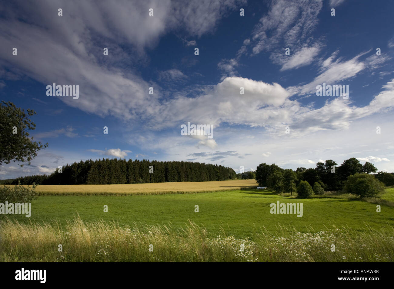 cultural landscape at cloudy sky, Germany, Saxony, Vogtlaendische ...