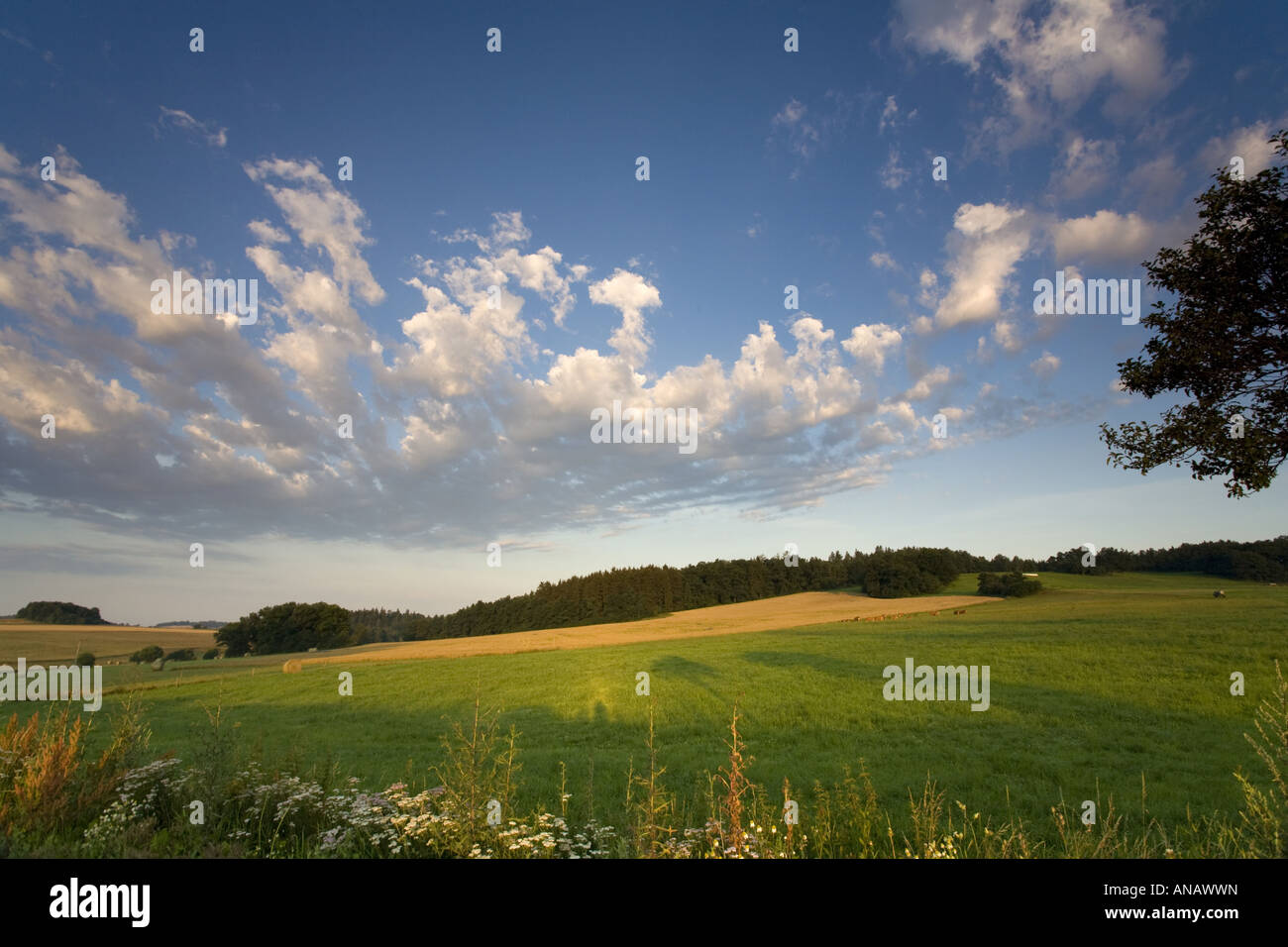 cultural landscape with cloudy sky at the morning, Germany, Saxony ...