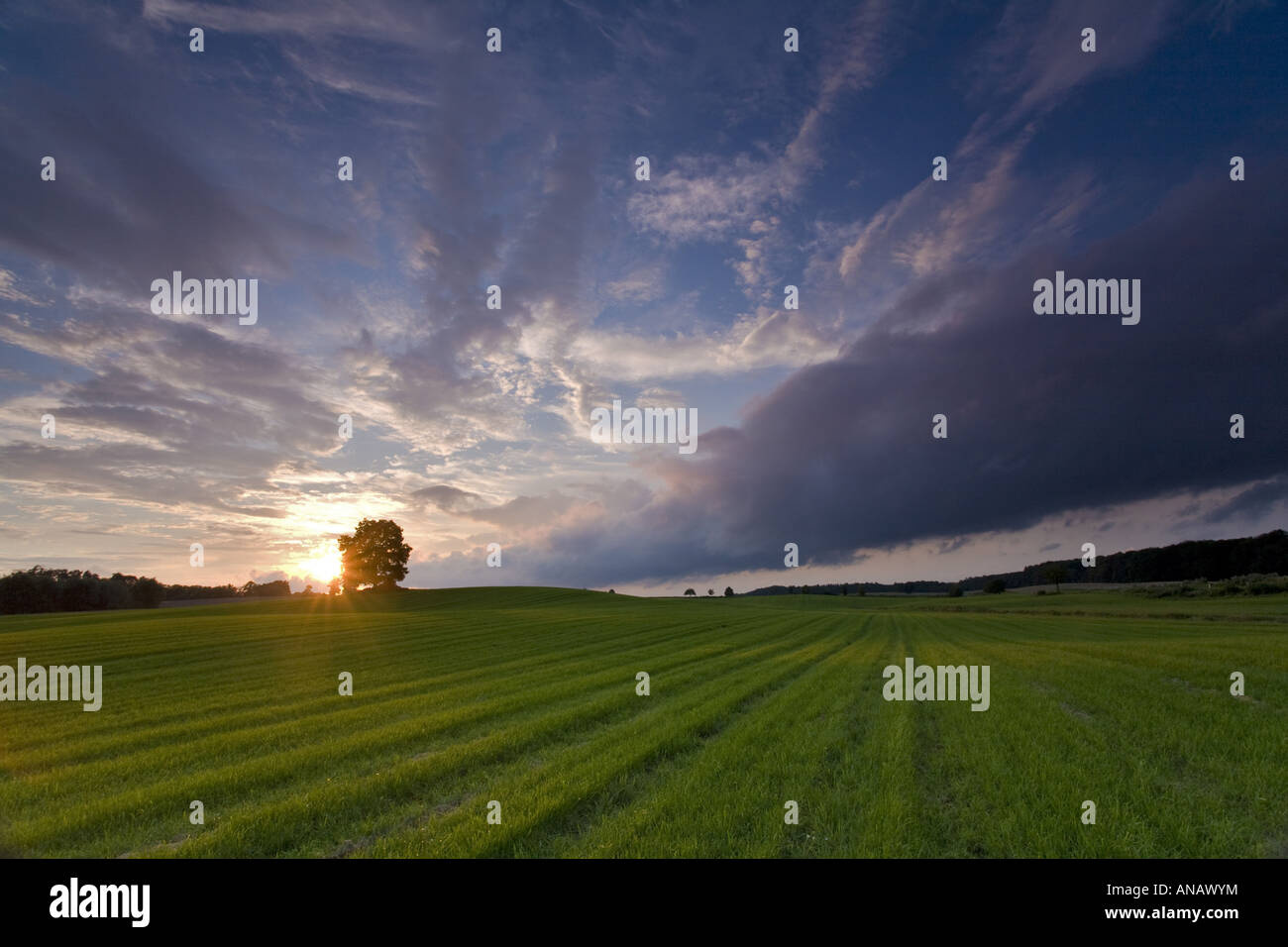 cultural landscape at the morning, Germany, Brandenburg Stock Photo - Alamy