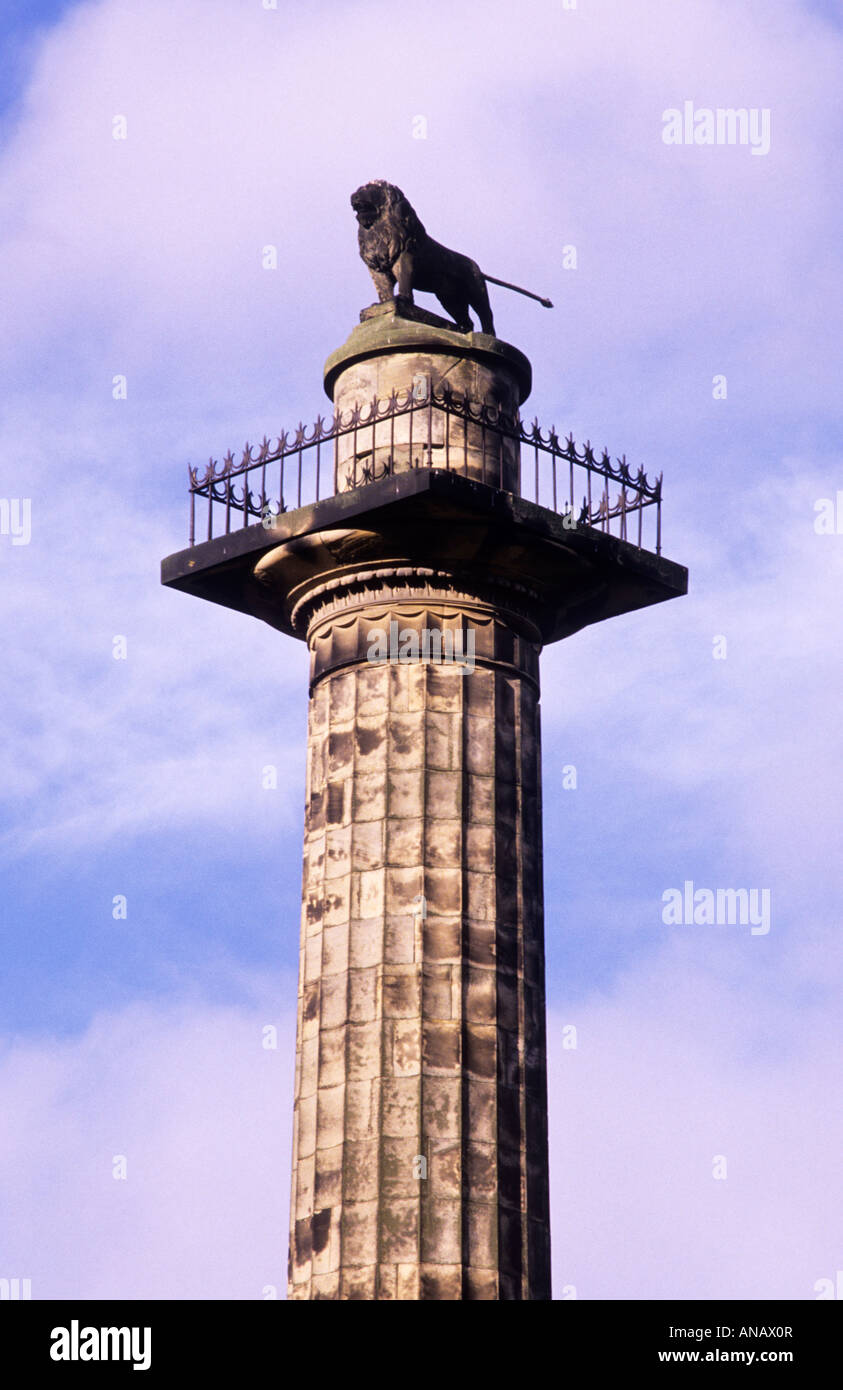 Alnwick tenantry column hi-res stock photography and images - Alamy