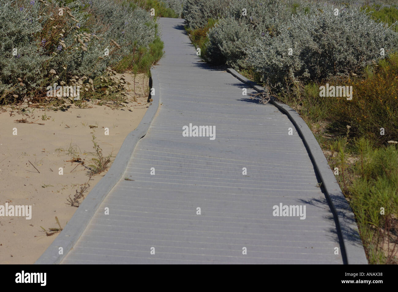 Oso Flaco Lake Stock Photo - Alamy