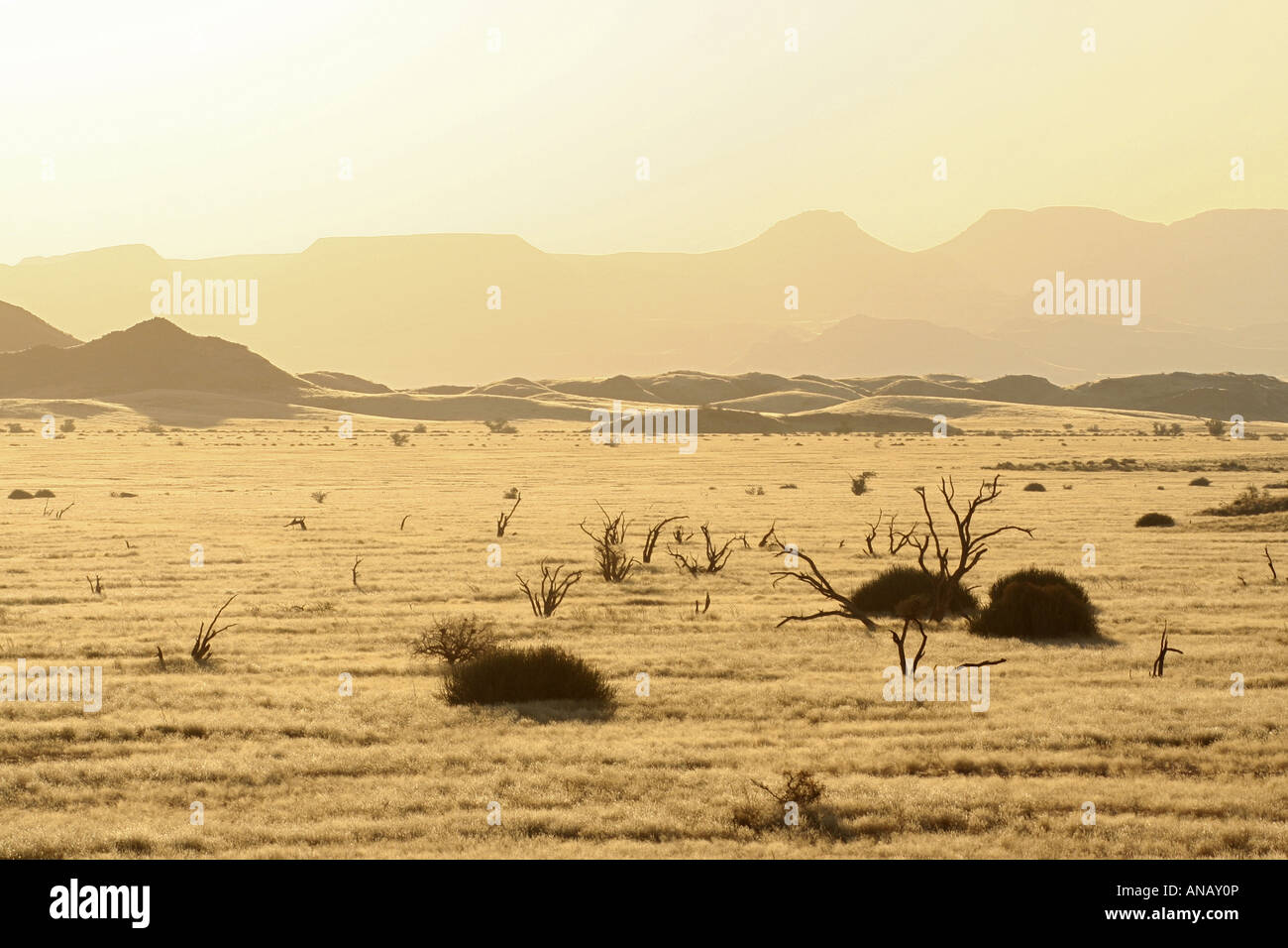 Naukluft at evening light, Namibia Stock Photo - Alamy
