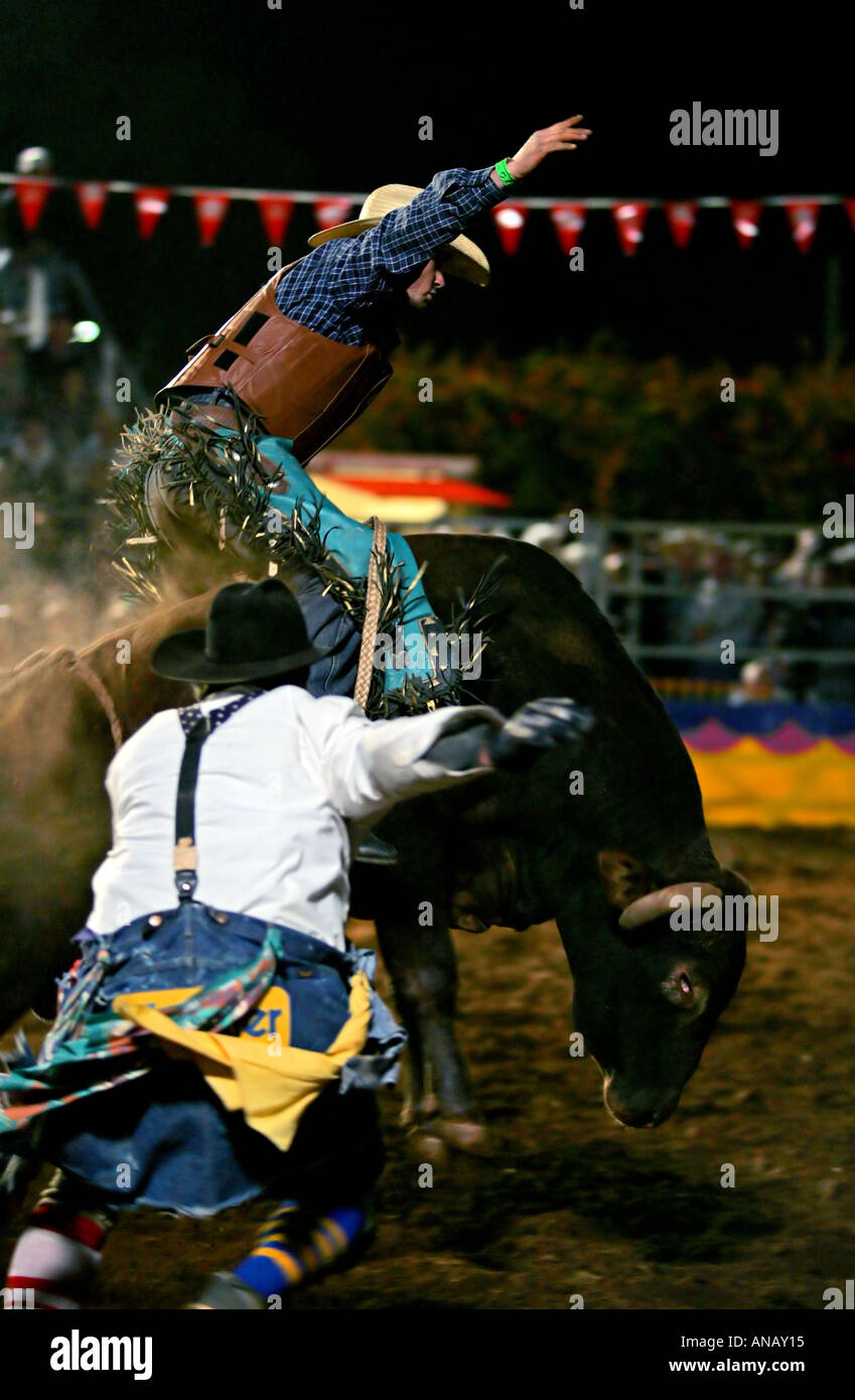 Bull riding dangerous gore hi-res stock photography and images - Alamy