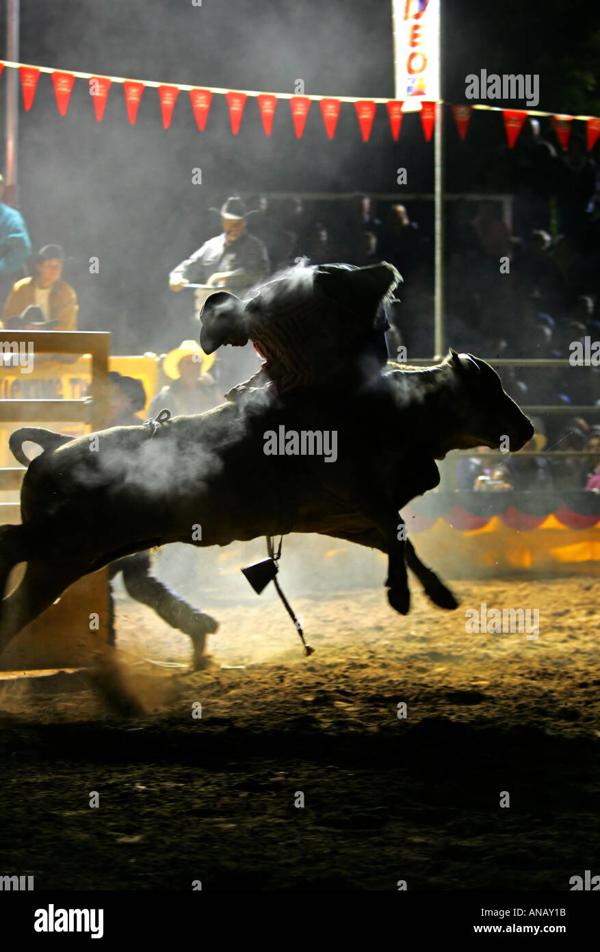 Bull riding dangerous gore hi-res stock photography and images - Alamy