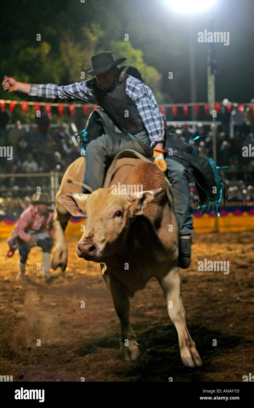 Bull riding australia hi-res stock photography and images - Alamy