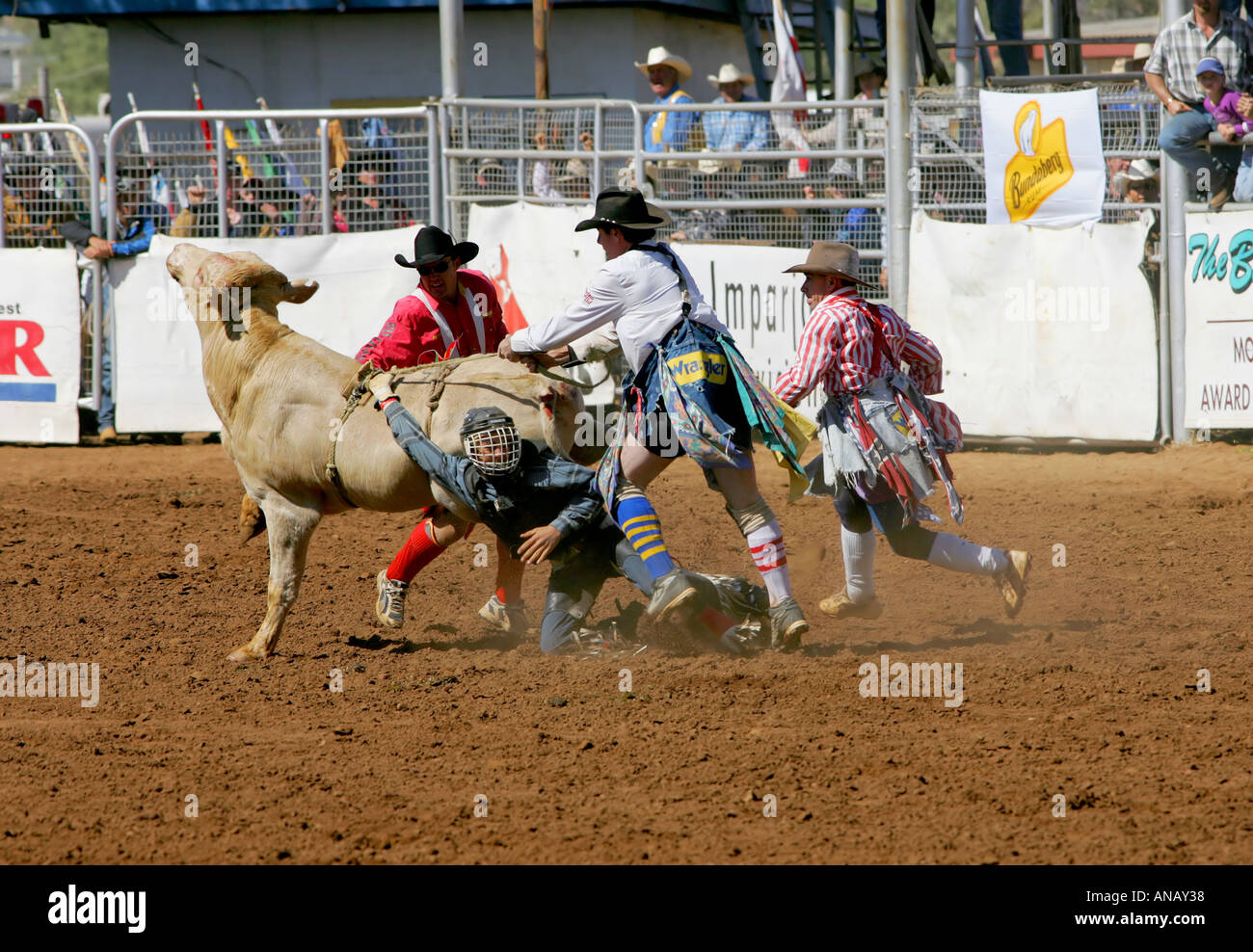 Bull riding dangerous gore hi-res stock photography and images - Alamy