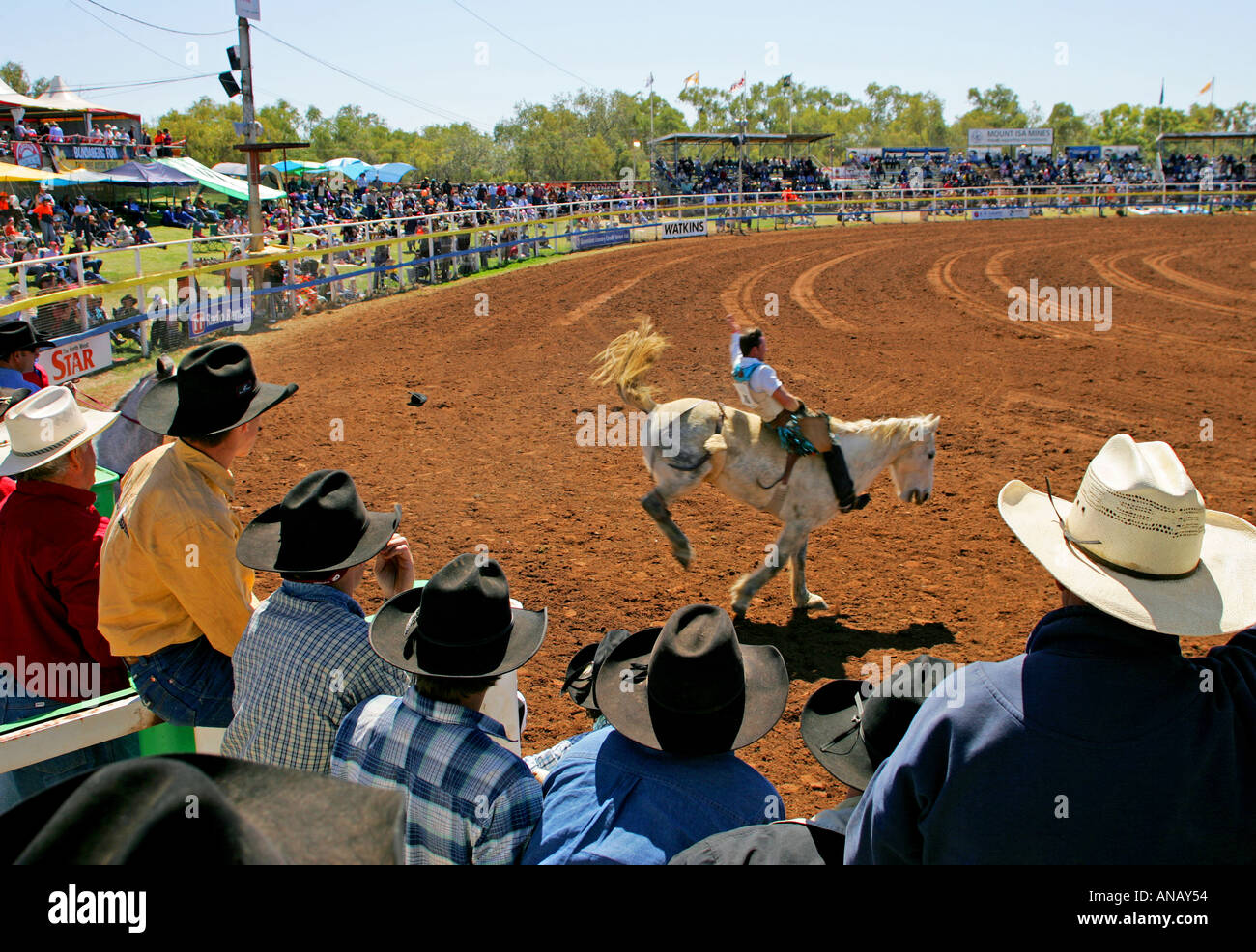 Bareback bronc riding hi-res stock photography and images - Alamy