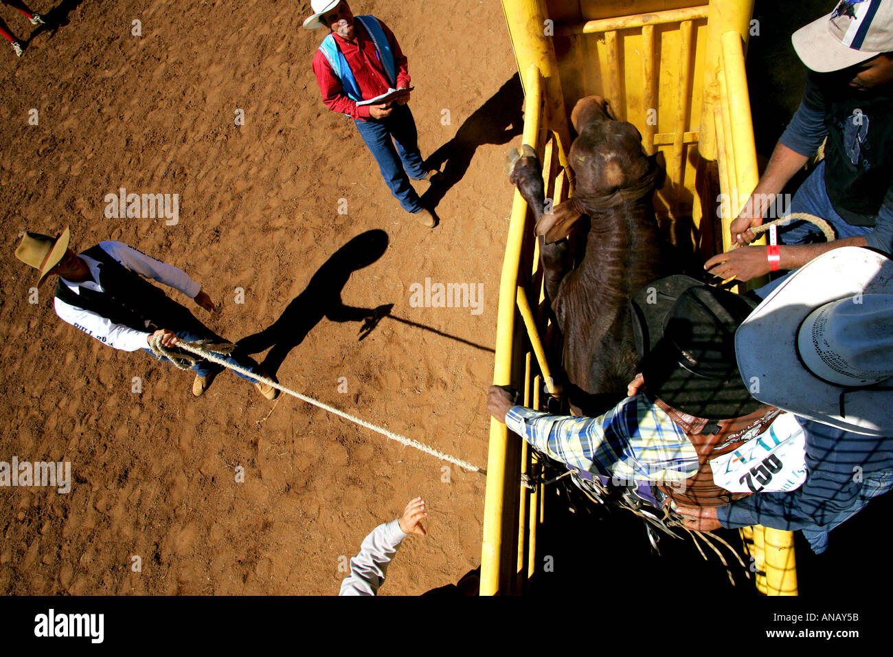 Bullriding hi-res stock photography and images - Alamy