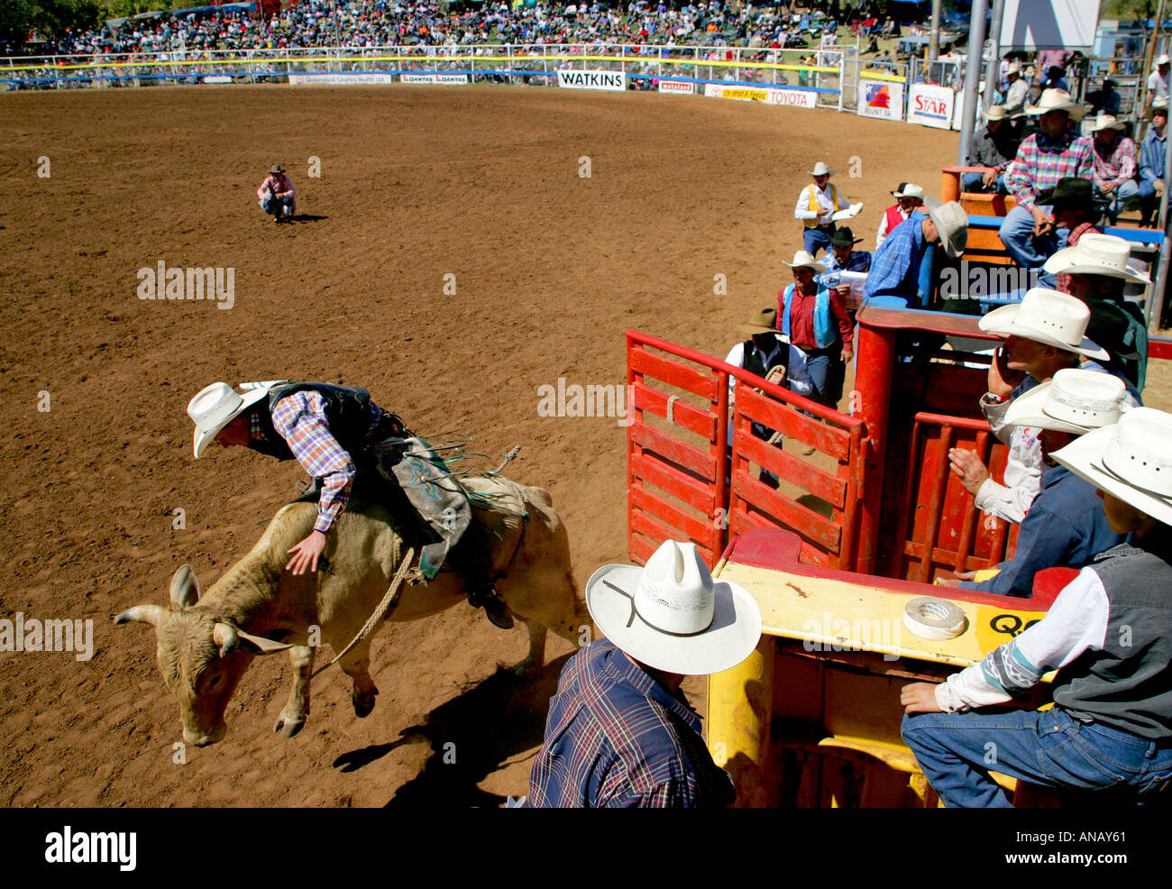 Rodeo gate hi-res stock photography and images - Alamy