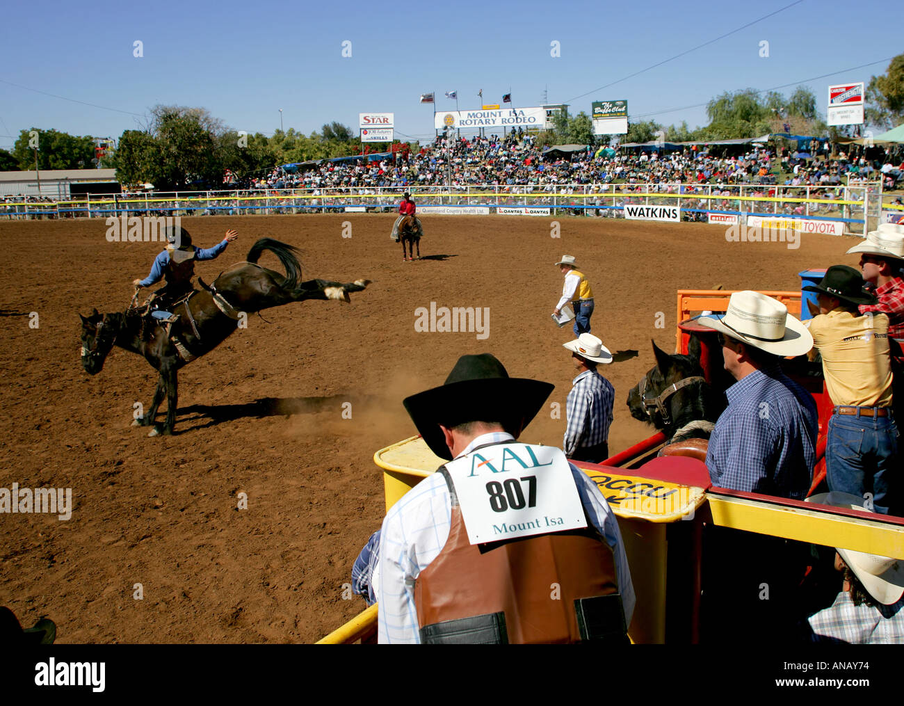 Hold saddle hi-res stock photography and images - Alamy