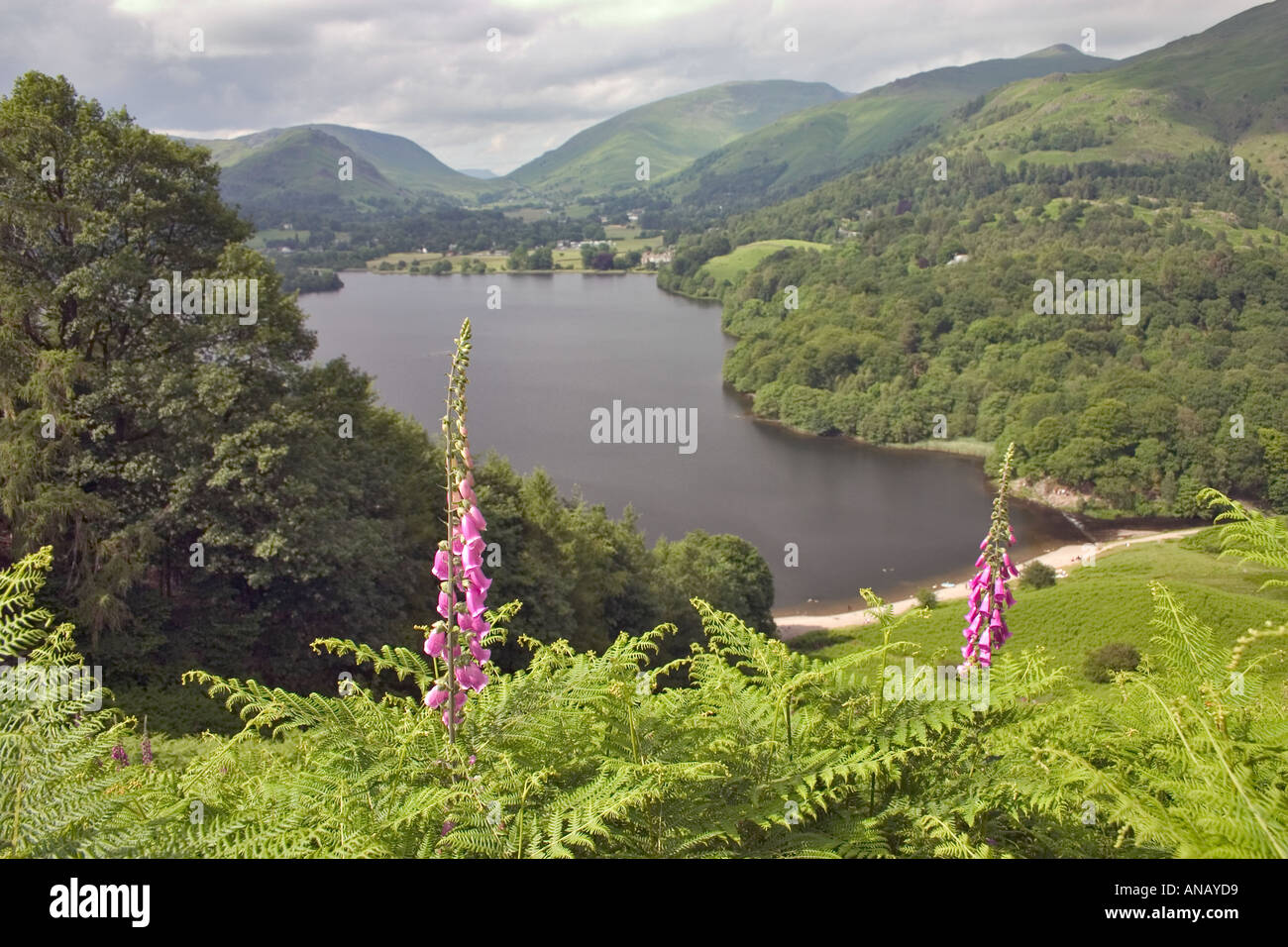 The Lake District England Stock Photo - Alamy
