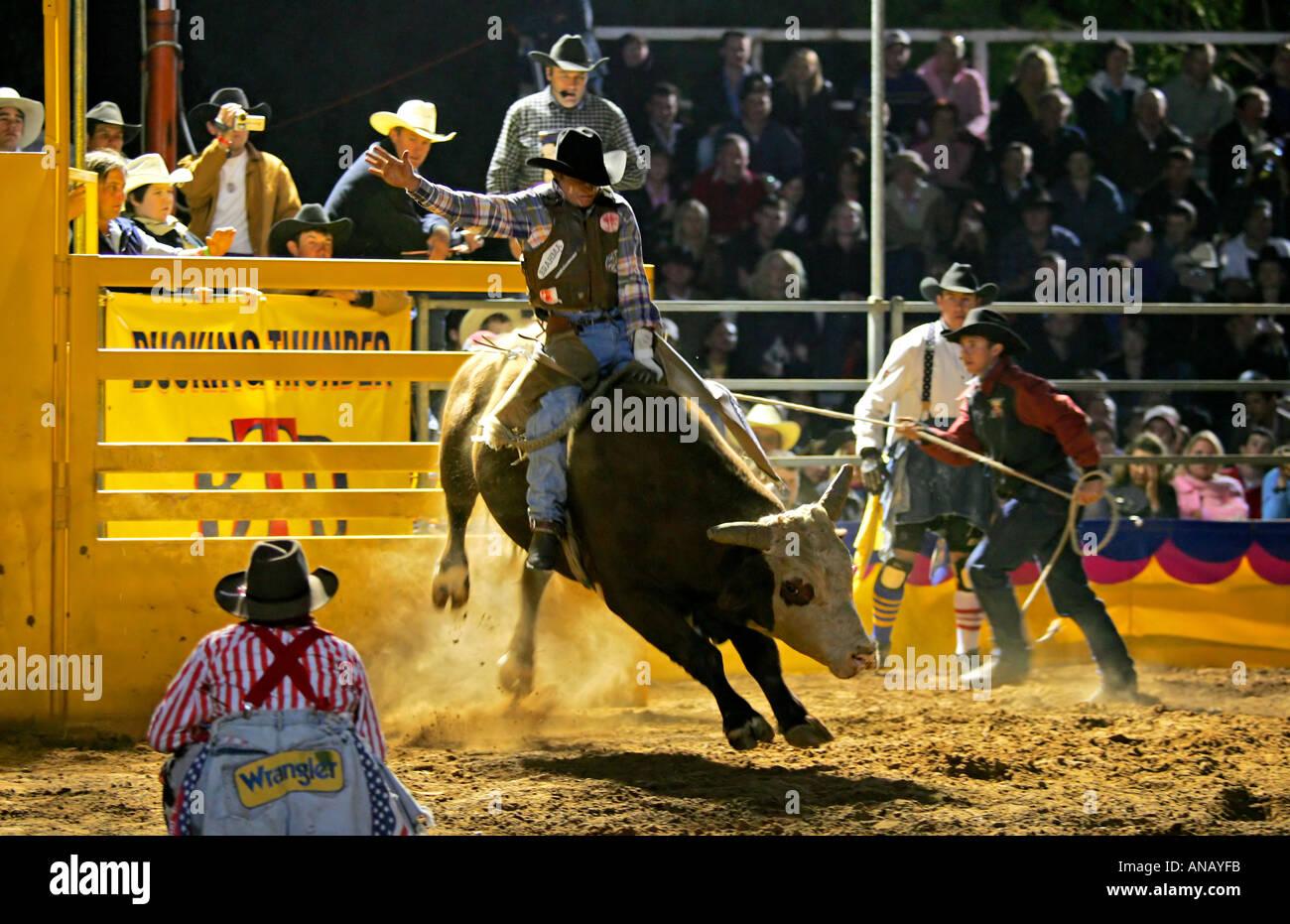 Bull Riding Mt Isa Rodeo High Resolution Stock Photography and Images ...