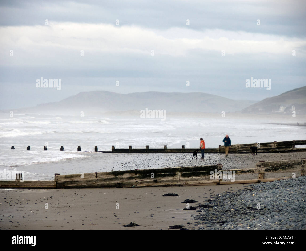 people walking down a wind swept beach with mist in the background ...