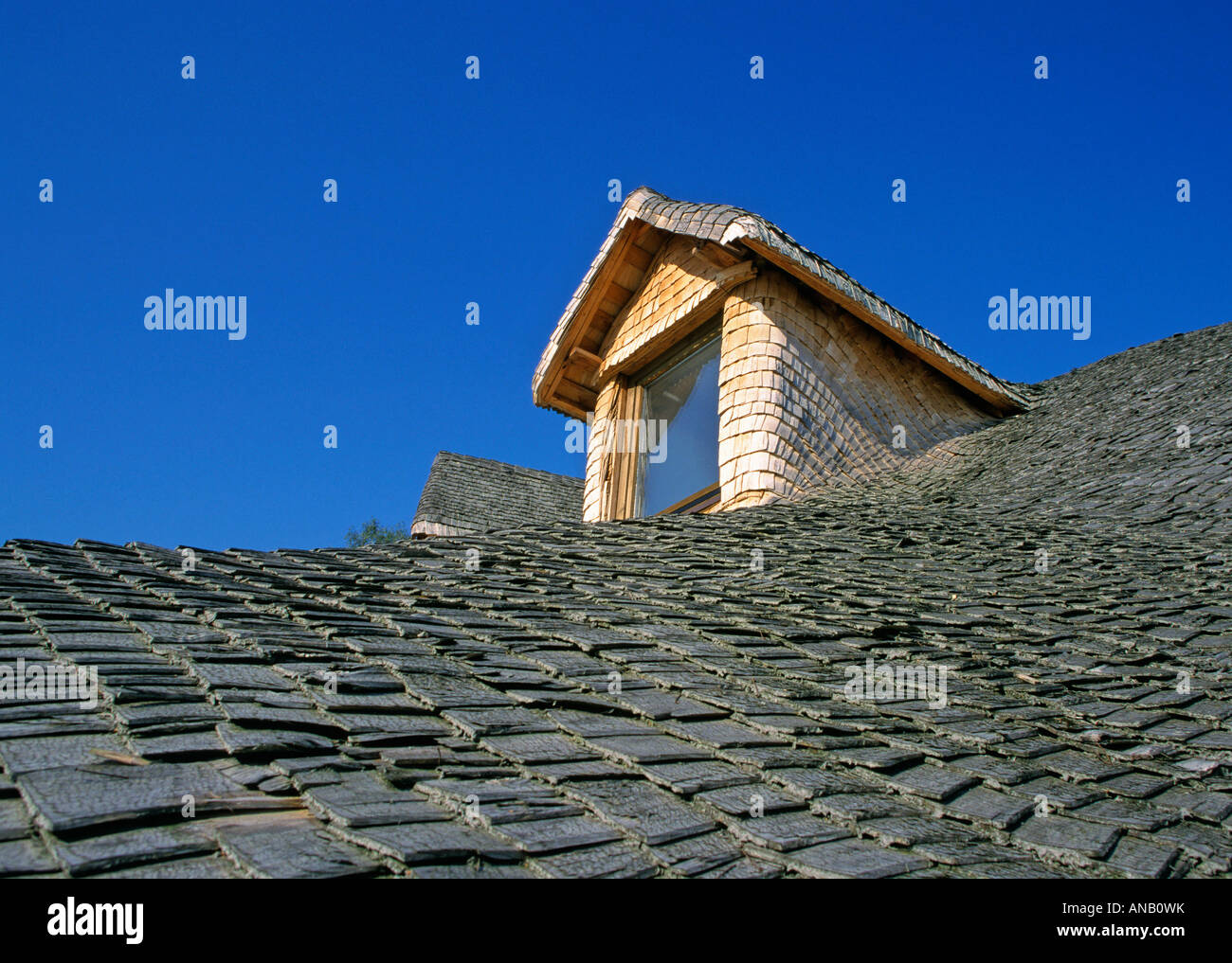 Unique horse stable chojnice poland hi-res stock photography and images ...