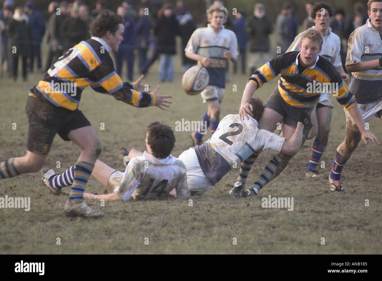 Rugby team groups hi-res stock photography and images - Alamy