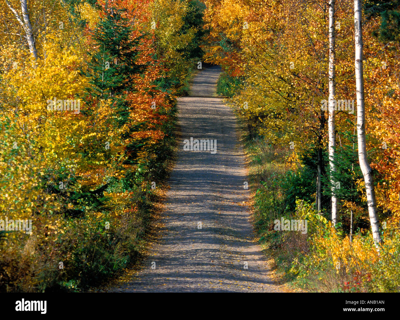 Road at fall Stock Photo - Alamy