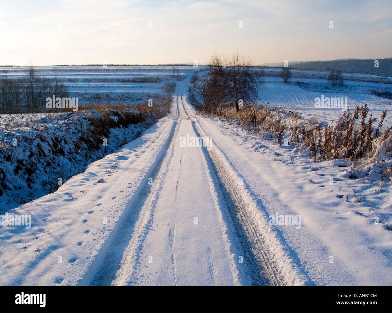 Road at winter Stock Photo - Alamy