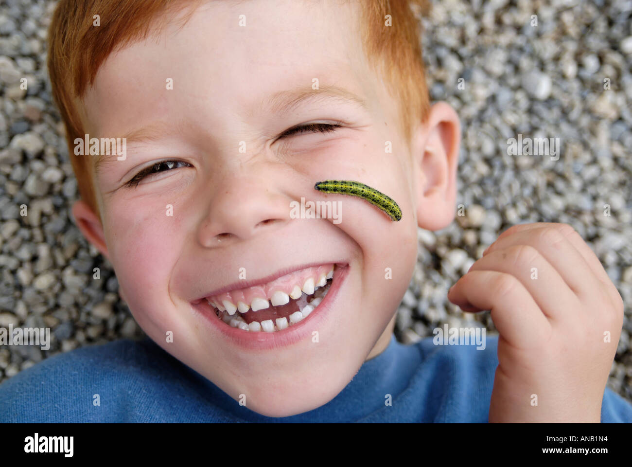 Infant caterpillar hi-res stock photography and images - Alamy