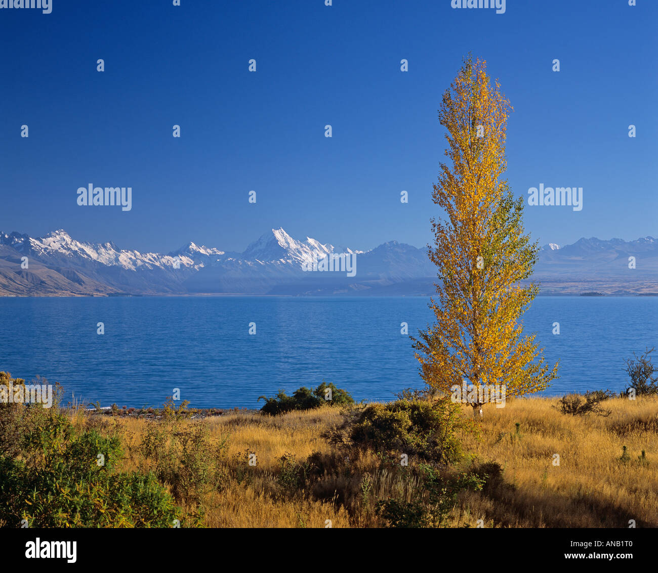 Lake Tekapo and Mt.Cook in Maori called Aoraki (3754m) at sunset, Mount ...