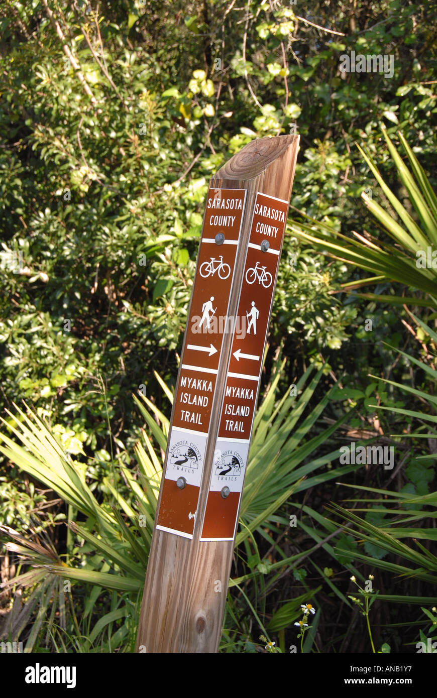 Palmetto state park hiking hi-res stock photography and images - Alamy